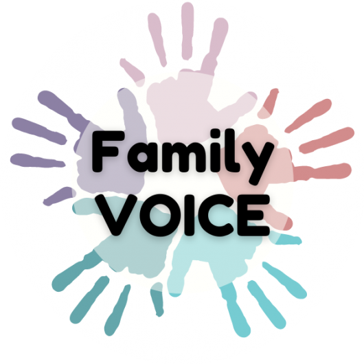 Family VOICE: Family Group Conferencing for Children and Families – CASCADE